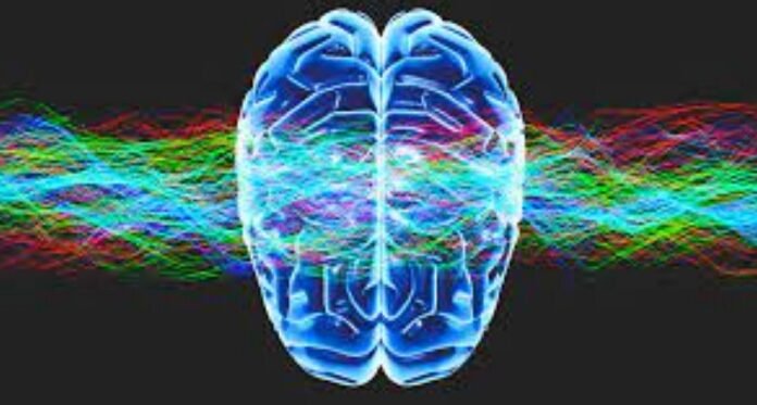 Using Your Brain for a Change: Unlock Your True Potential